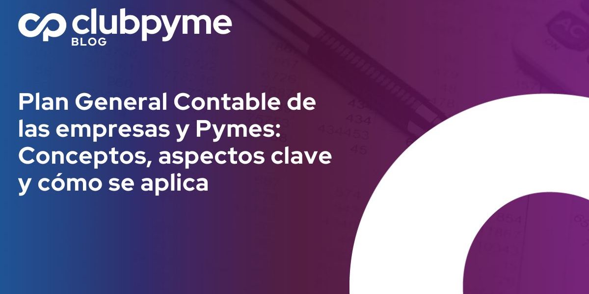 Plan General Contable de las empresas y Pymes: Conceptos, aspectos ...